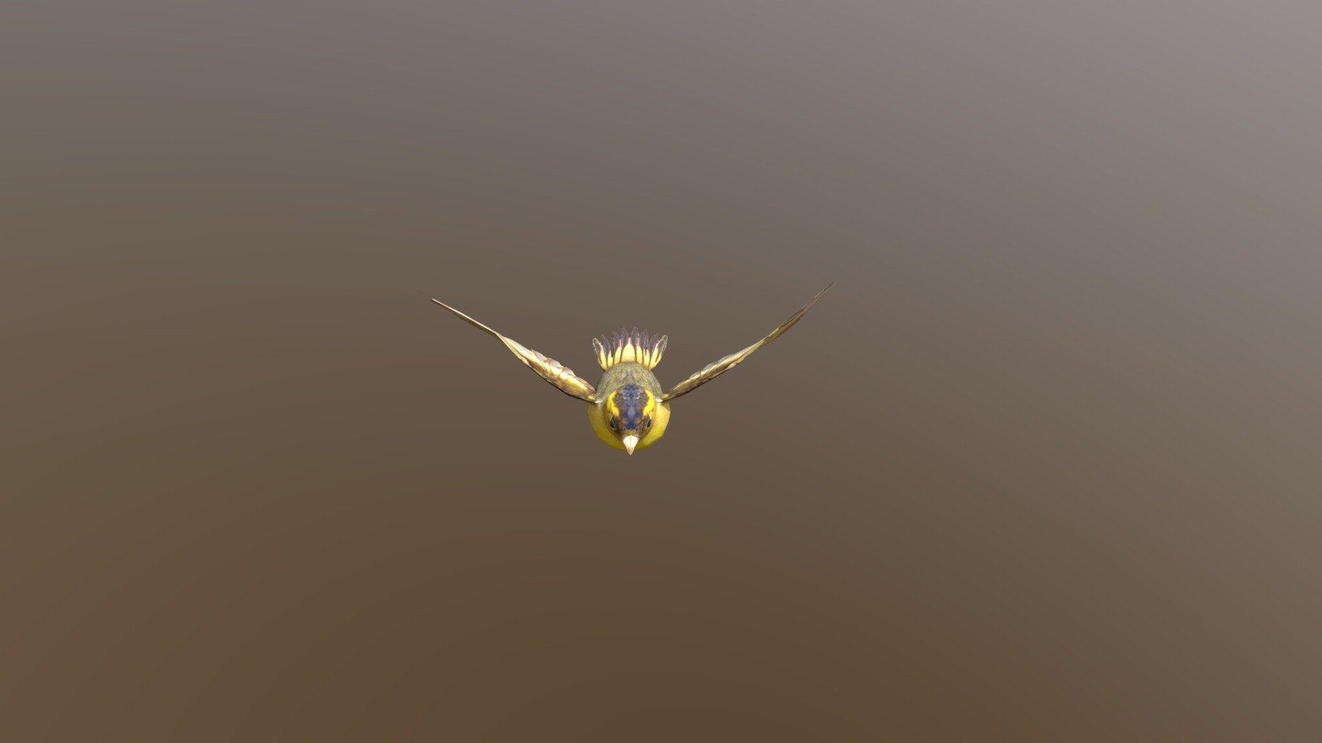 Bird fly - 3D model by qaz33484941 [c512184] - Sketchfab