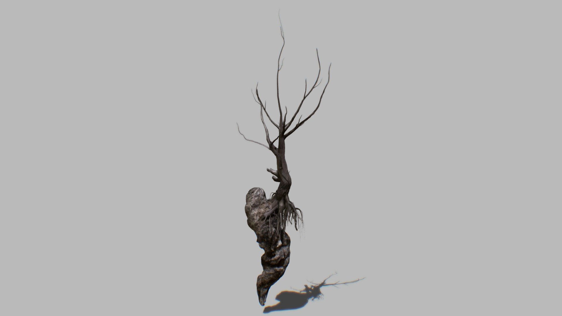 Rock And Burned Tree - Download Free 3D model by saeed khalili ...