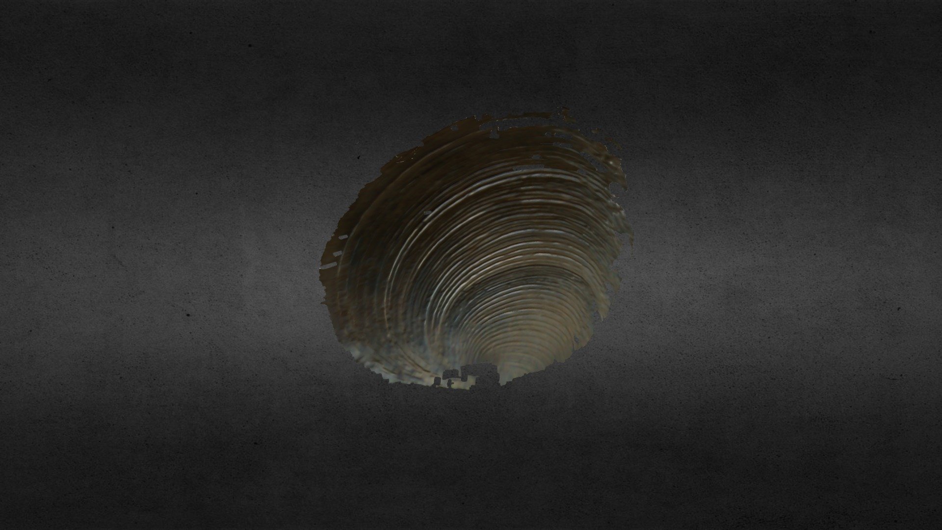 shell_scan_04_01 - 3D model by bertobillions [c519d9f] - Sketchfab