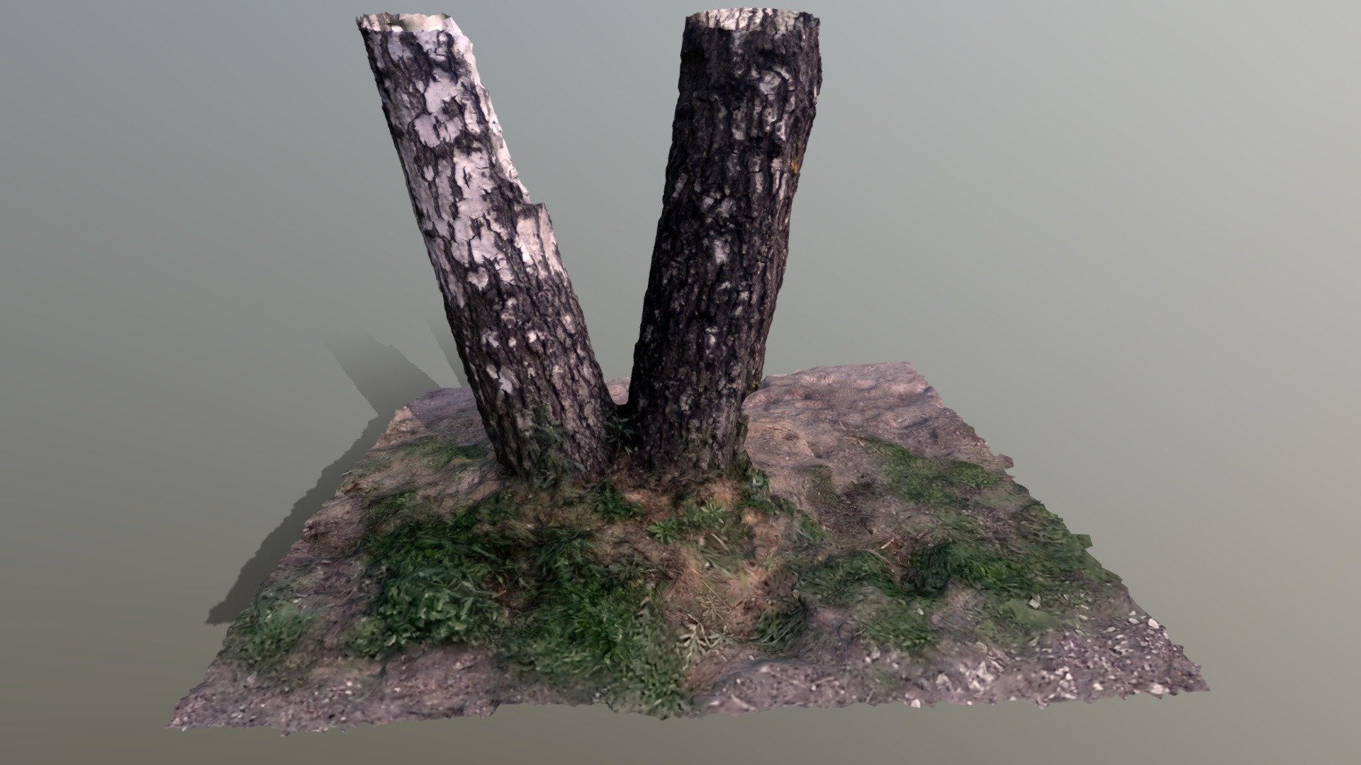 tree trunk 14a4 - Download Free 3D model by adamo1139 [c51b23b] - Sketchfab