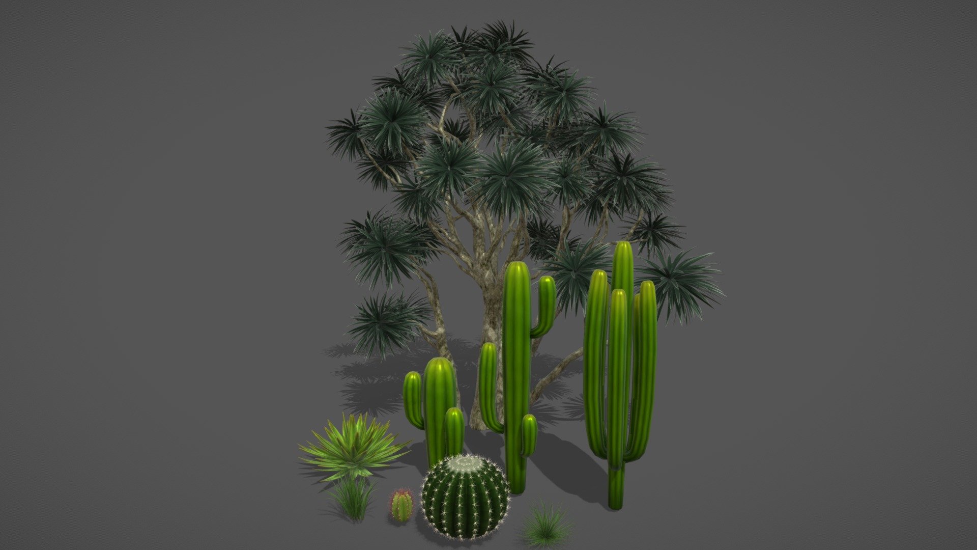 desert plant - Buy Royalty Free 3D model by ostrich (@gohean33 ...