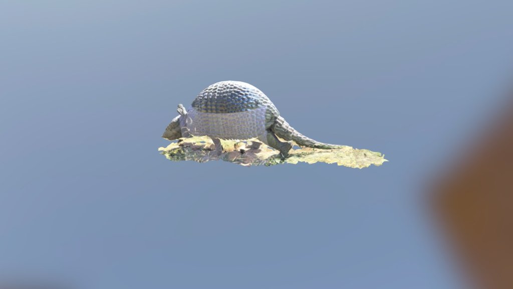 Armadillo - Download Free 3D model by andy.chan [c52deab] - Sketchfab