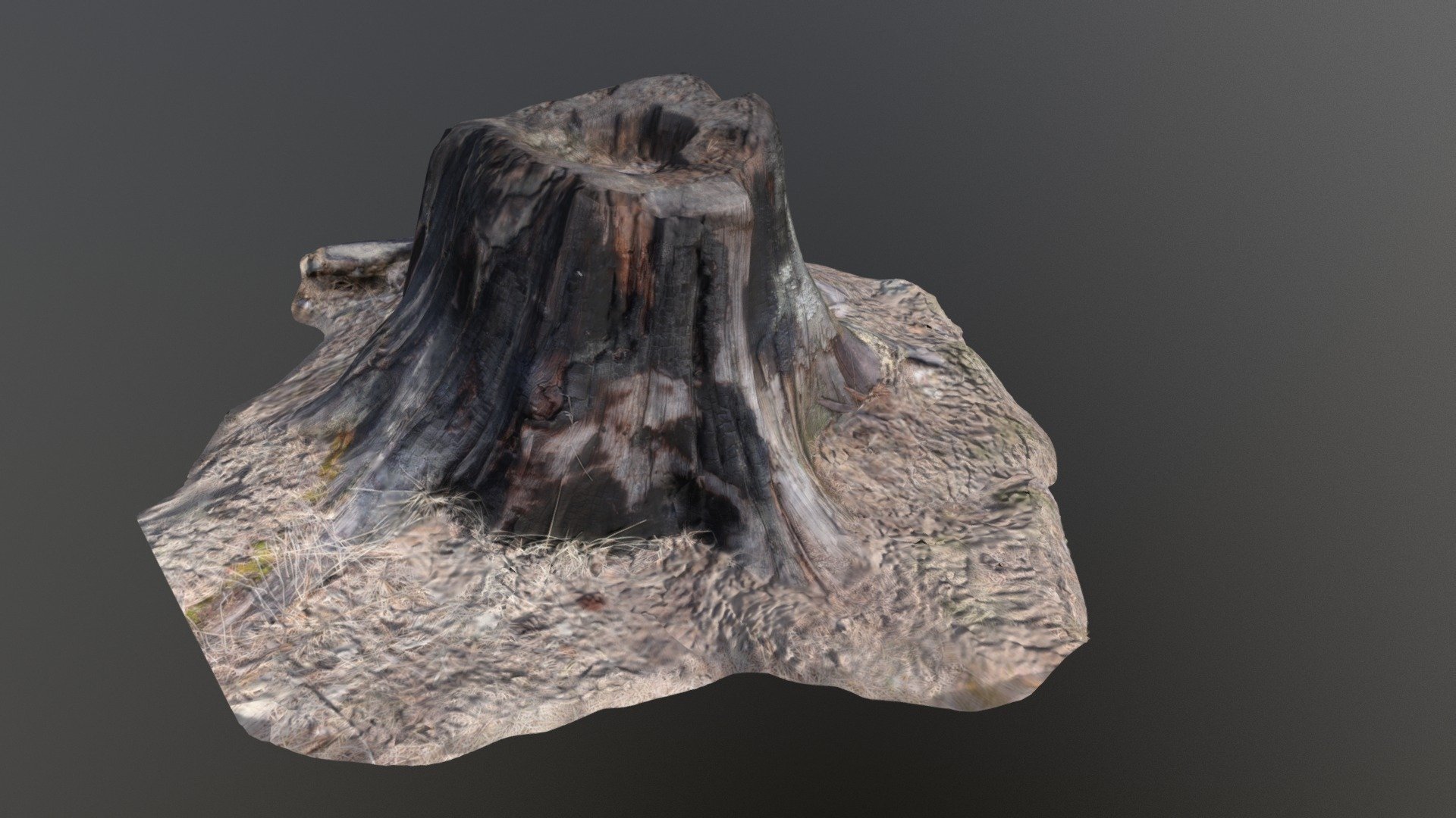 stump - 3D model by crfrog [c5347fc] - Sketchfab