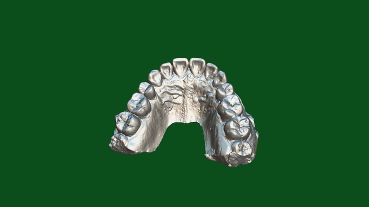 Grillz 3D models - Sketchfab