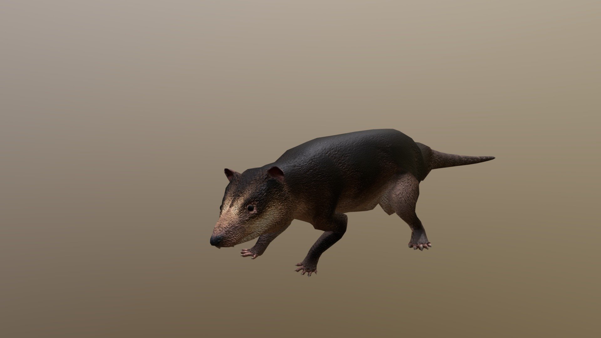 Didelphodon - Download Free 3D model by kenchoo [c544572] - Sketchfab