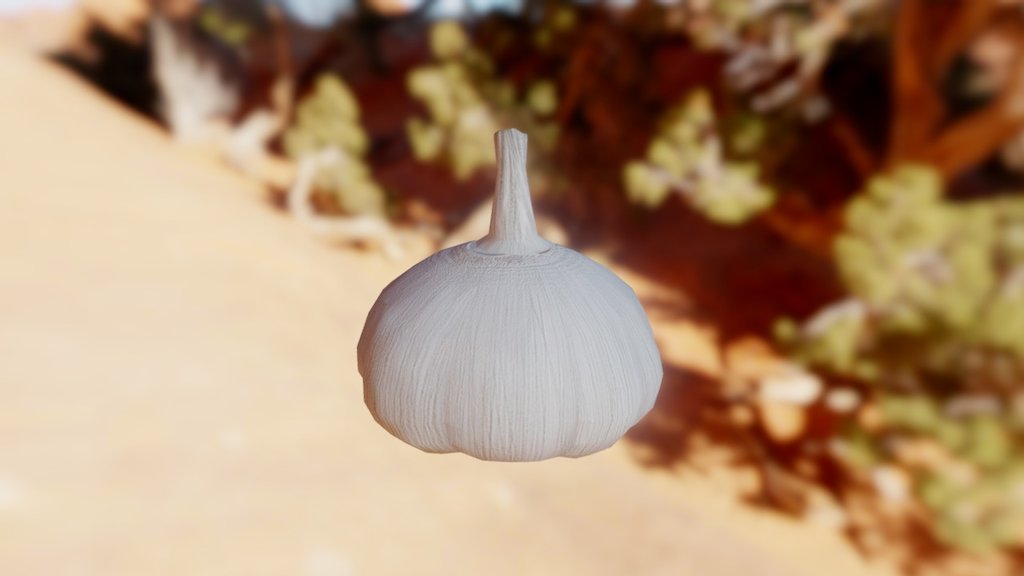 Garlic - 3D model by Raptor (@reptileye) [c54bdc4] - Sketchfab