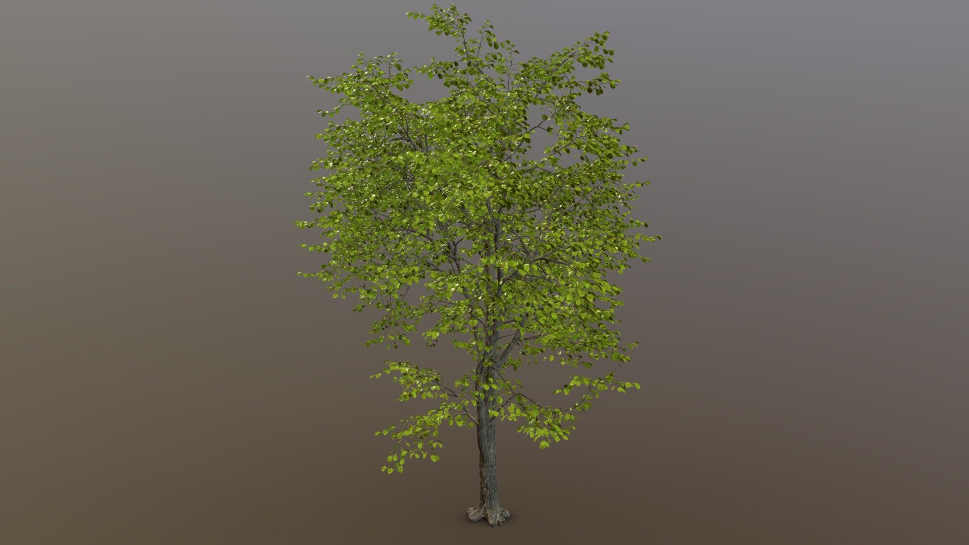 Realistic tree_V 02 - Download Free 3D model by Krishu (@manoj44 ...