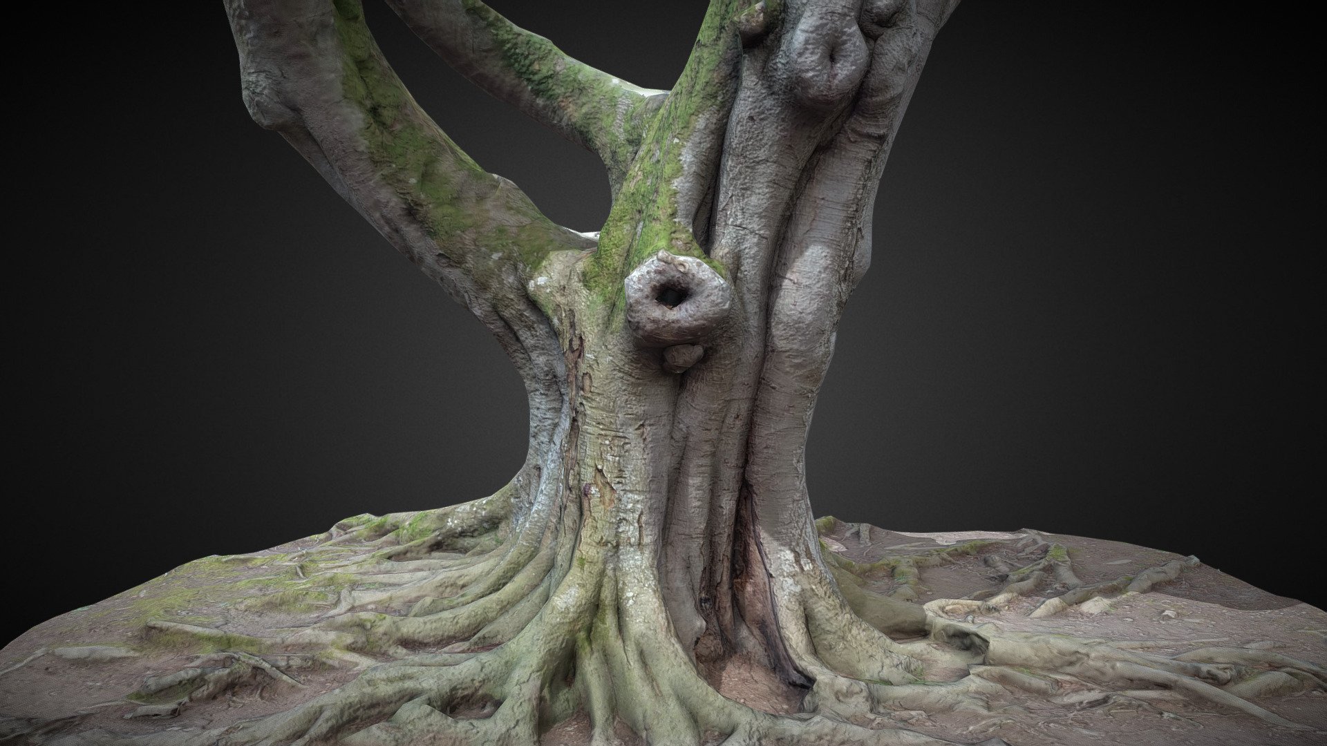 Hay Lodge Park 4 - 3D model by Brian Mather (@brian.mather) [c554270 ...