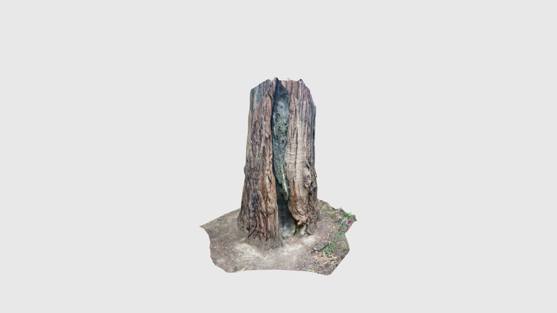 Giant Northern California Redwood tree - Download Free 3D model by ...
