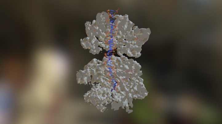 EMDB › EMD-8540 - 3D model by Interactive 3D Data (@proteinsimulation ...