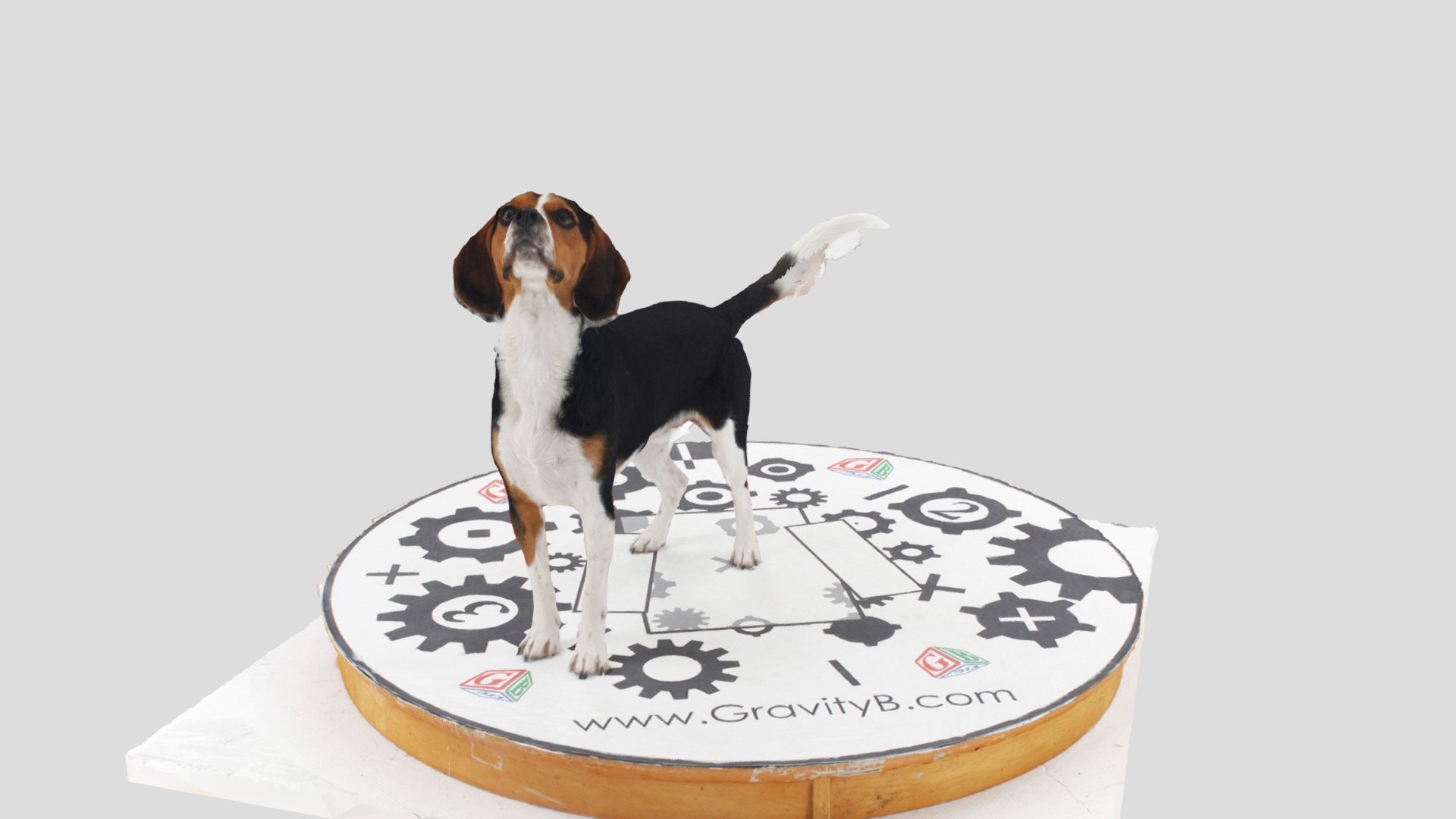230607 Charlie T Standing 10 - 3D model by GravityB [c561863] - Sketchfab