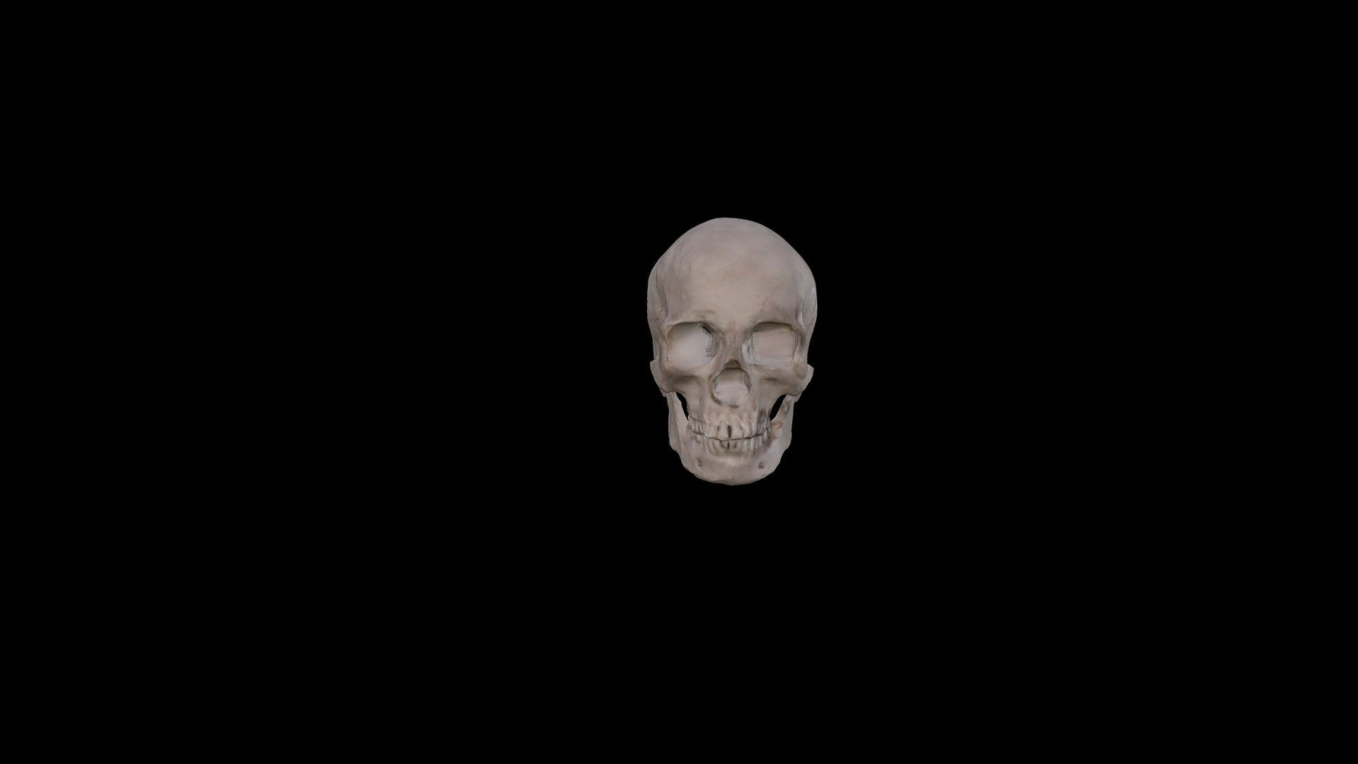 Human Skull - 3D model by seminarsonscience [c57d642] - Sketchfab