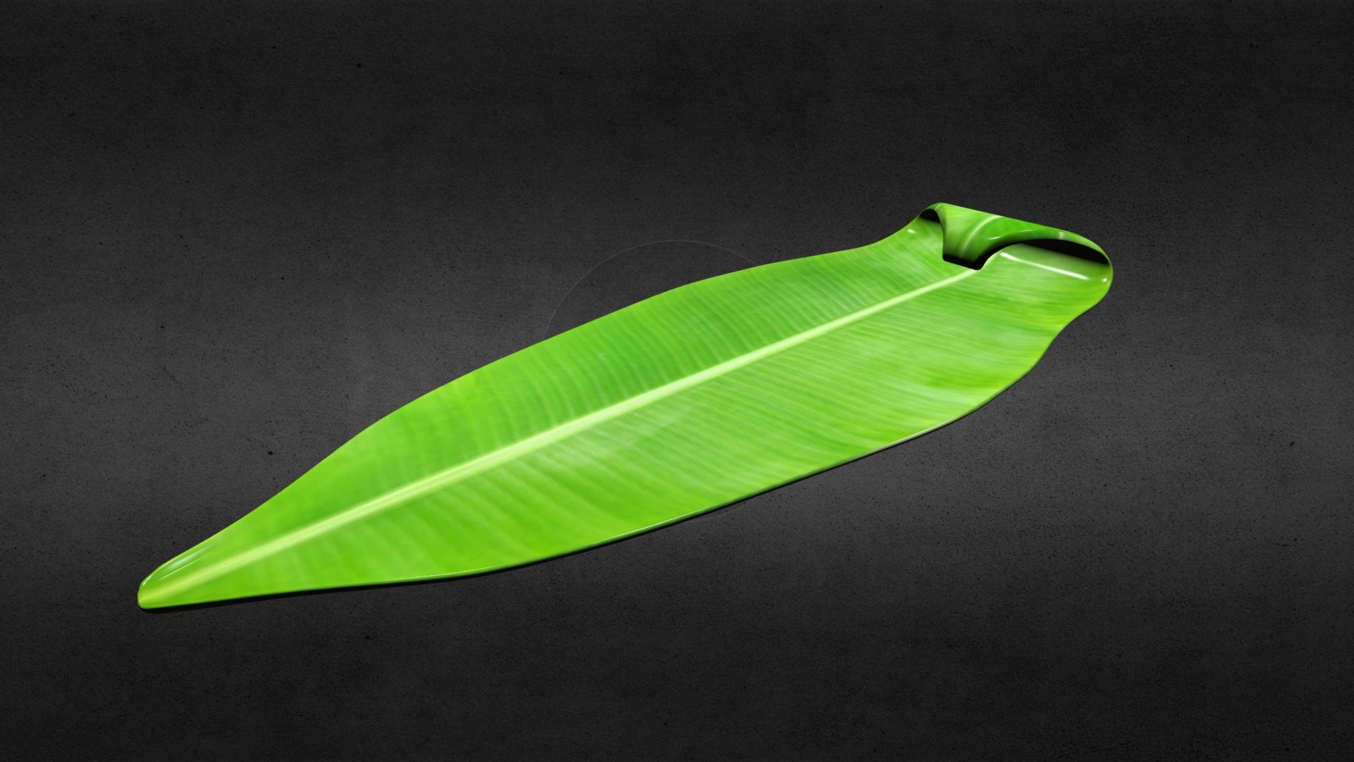 Leaf Plate - 3D model by Milan Adamov (@MilanAdamov) [c57e273] - Sketchfab