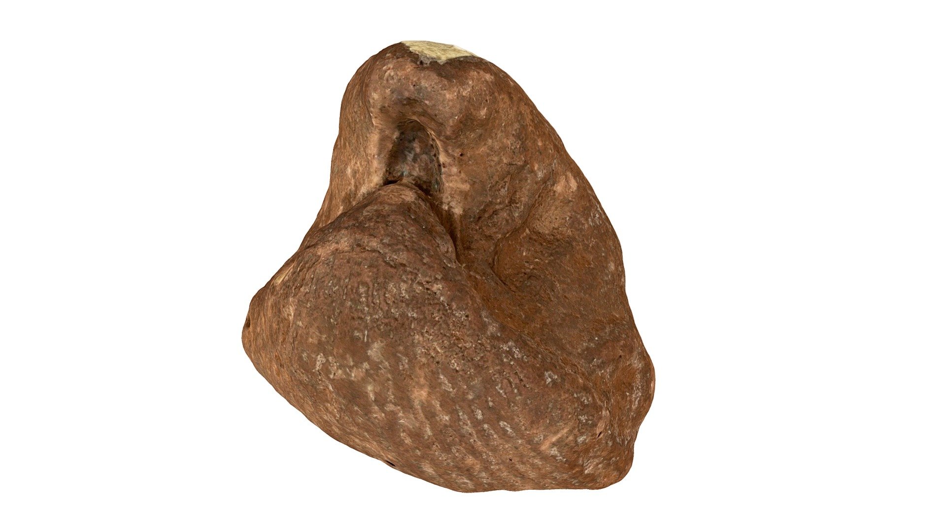 476C Pentamerida - 3D model by CSULB Geology (@richard.behl) [c58e99e ...