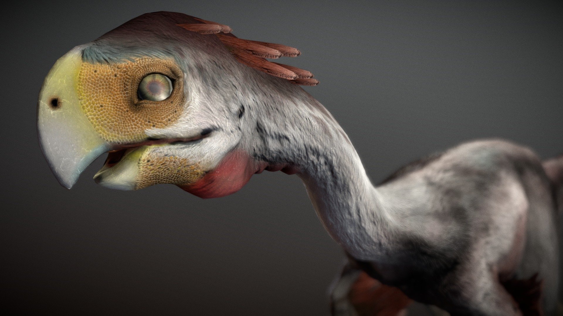 Gigantoraptor - 3D model by robertfabiani [c58fb3f] - Sketchfab
