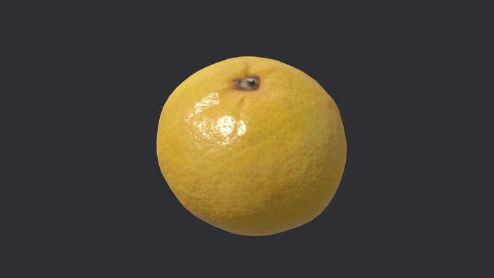 Satsuma 3D models - Sketchfab