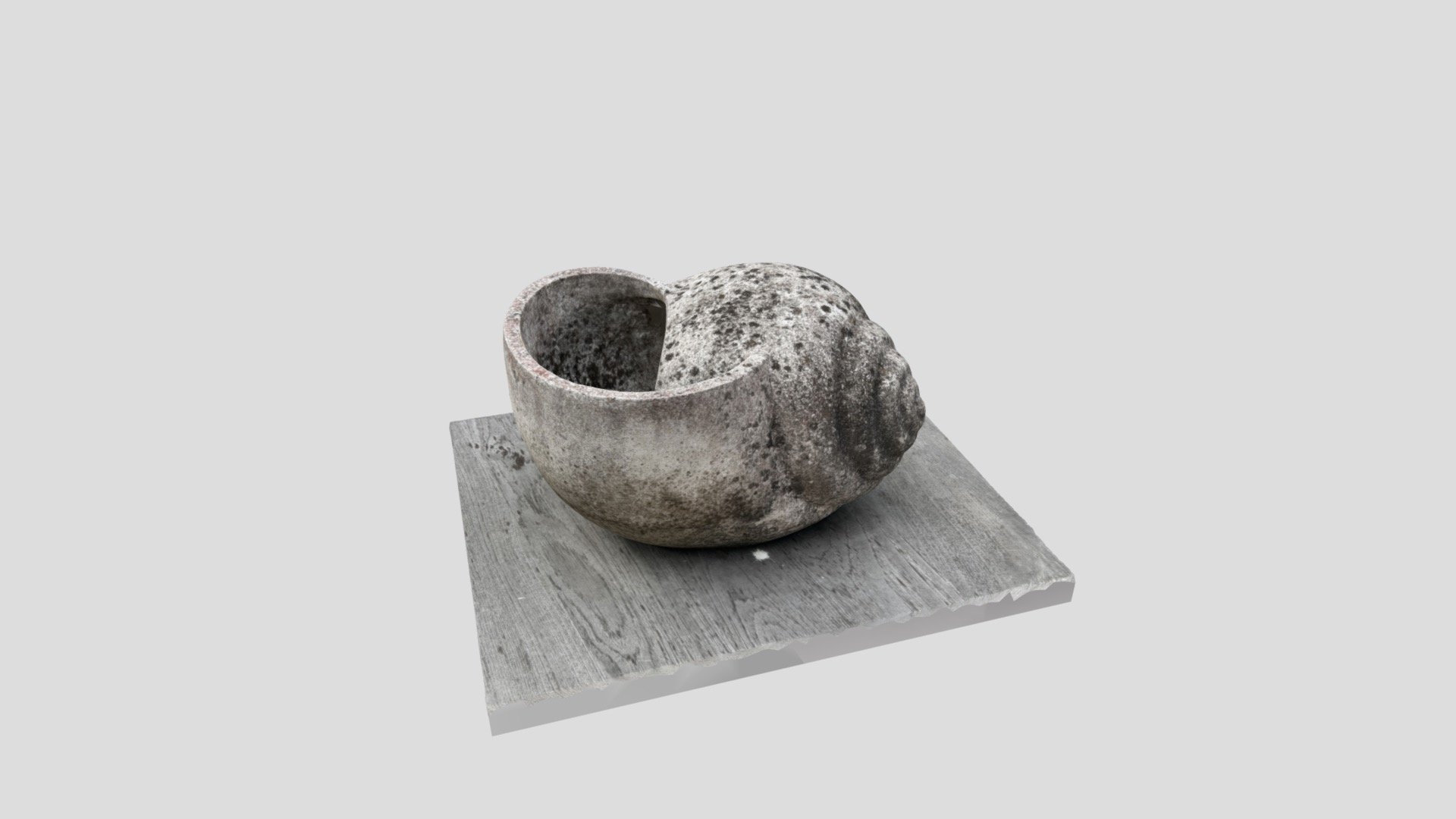 flower pot in the shape of a snail shell - Buy Royalty Free 3D model by ...