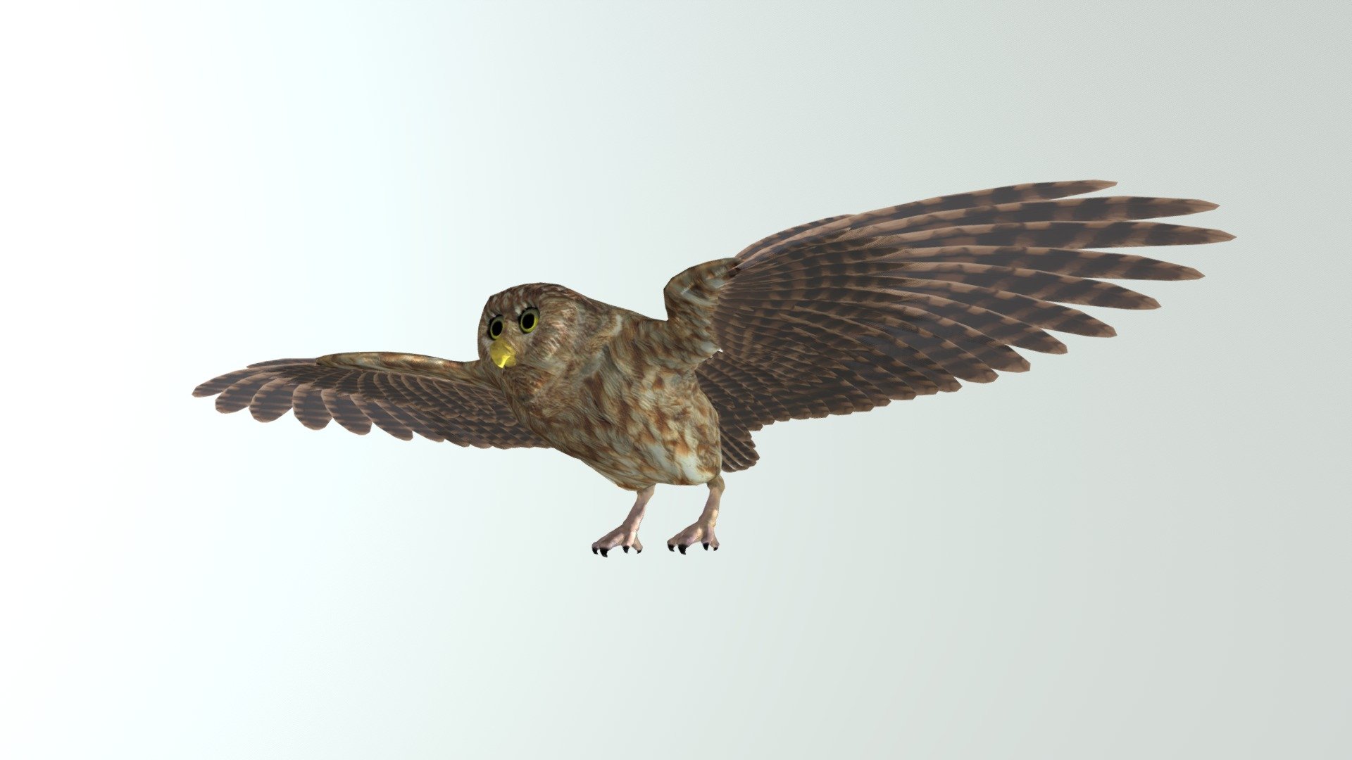 Owl bird - Buy Royalty Free 3D model by 3dlowpoly [c5a126d] - Sketchfab ...