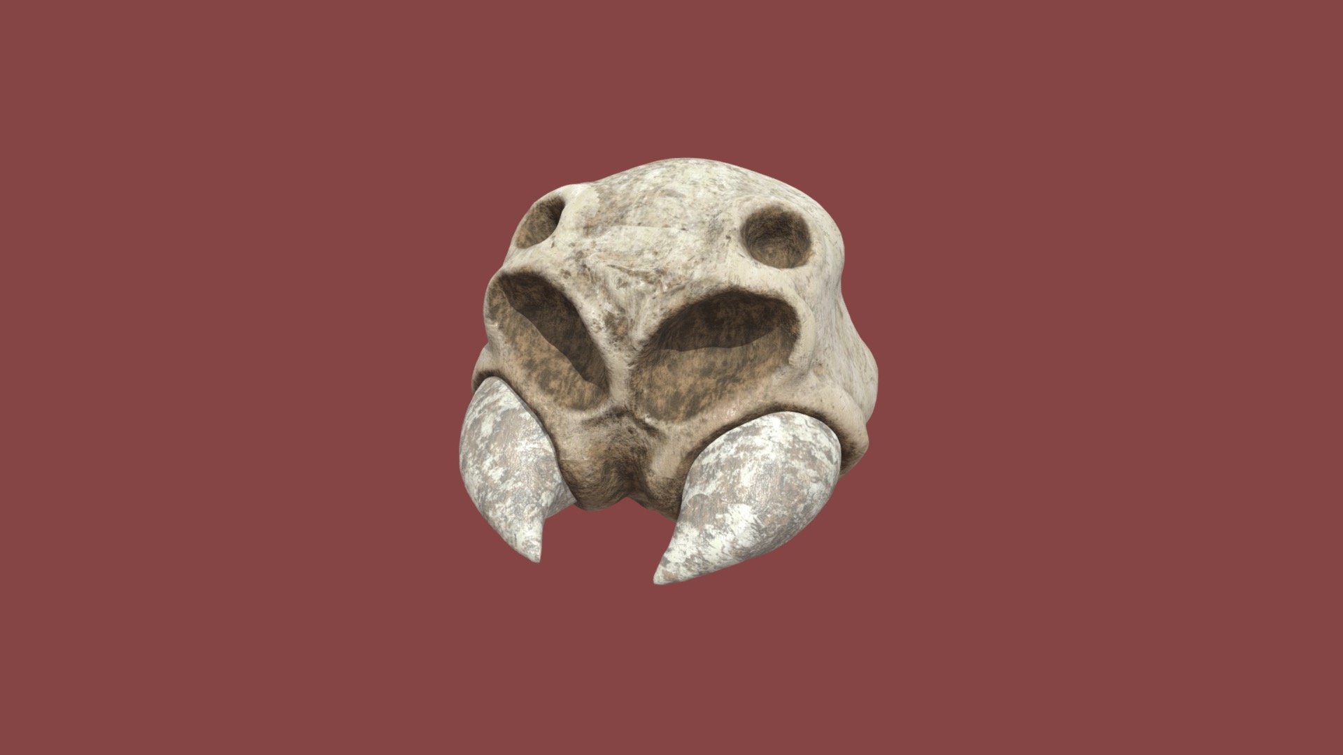 Spider Skull Concept - Download Free 3D model by SmileyMan10000 ...