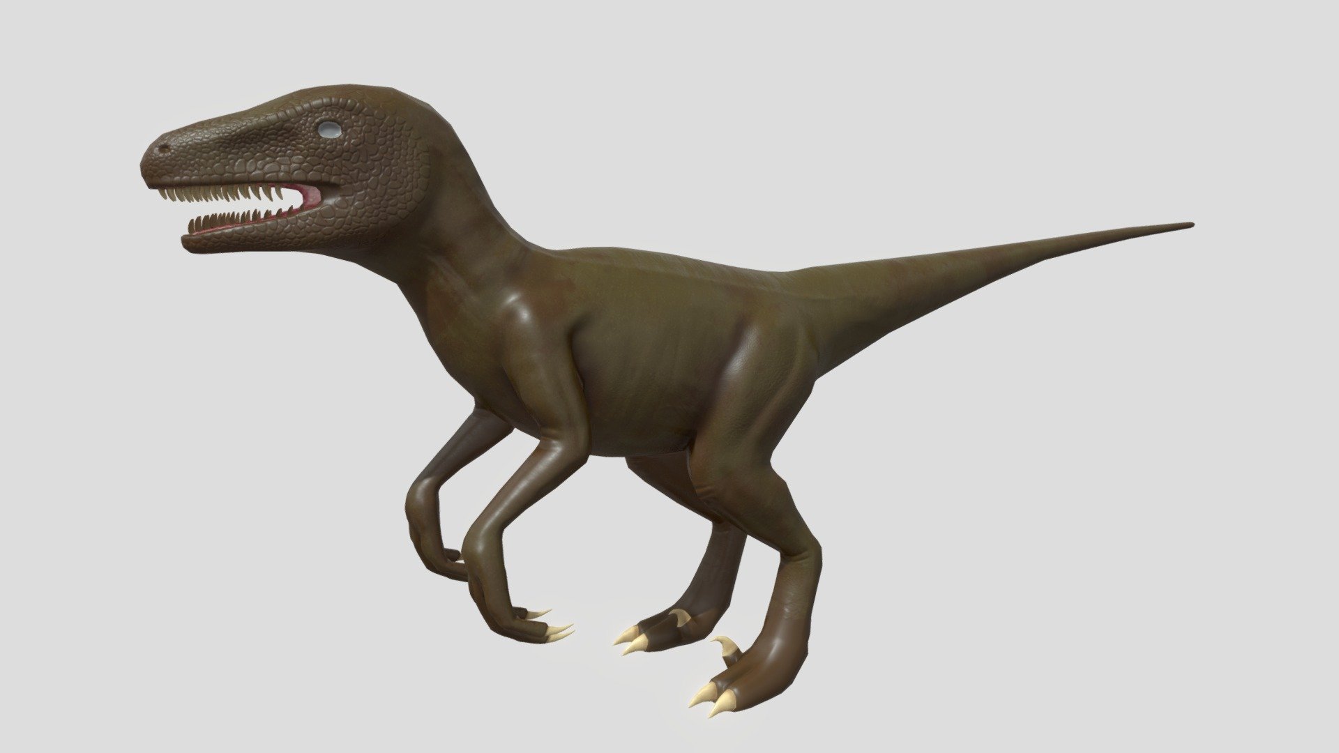 Raptor - Download Free 3D model by MatthewBlake (@14mblake) [c5ac8bf ...