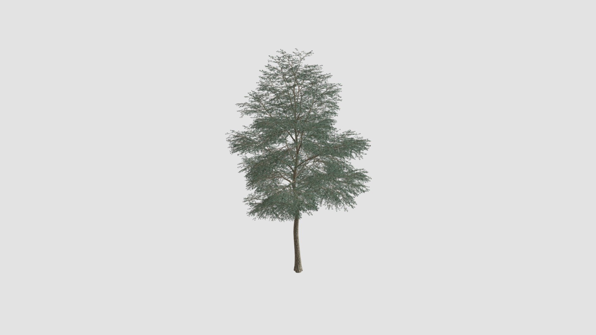 tree - Buy Royalty Free 3D model by Evermotion [c5b0d8a] - Sketchfab Store