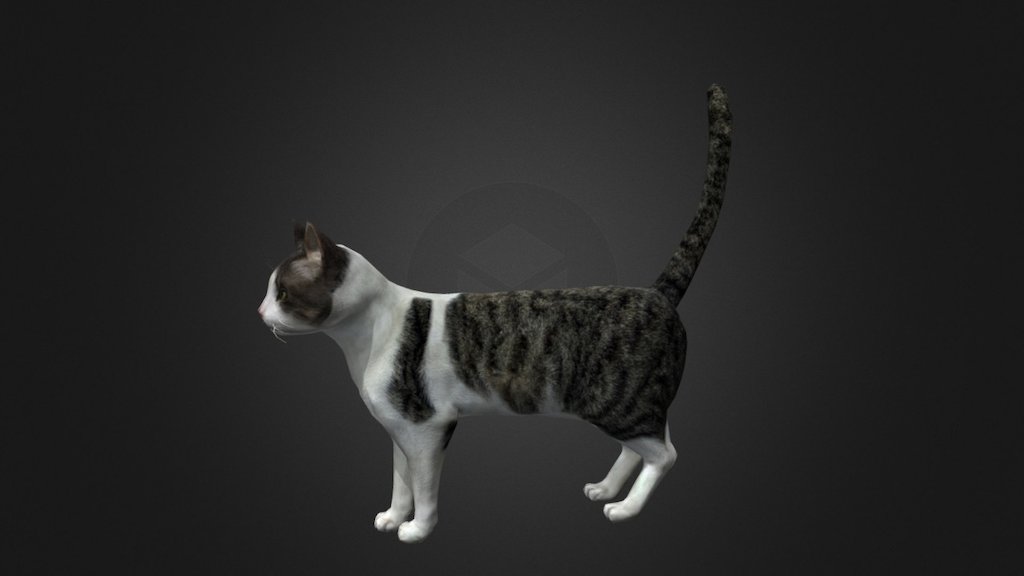Cat 3 - 3D model by RedDeer (@billl90) [c5bbf22] - Sketchfab
