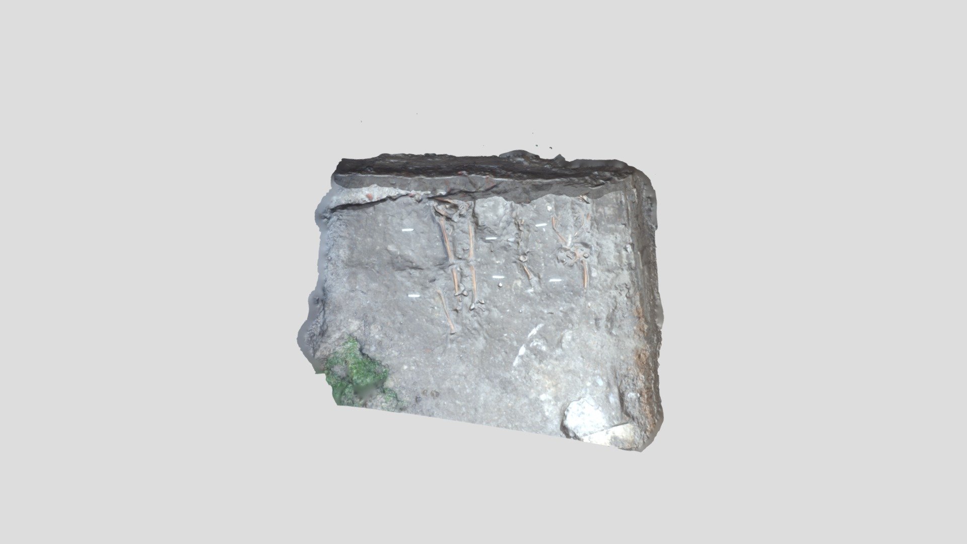 23-788 Tongerlo Fase 2 _ Skelet 2-3-4 - 3D model by Condor ...
