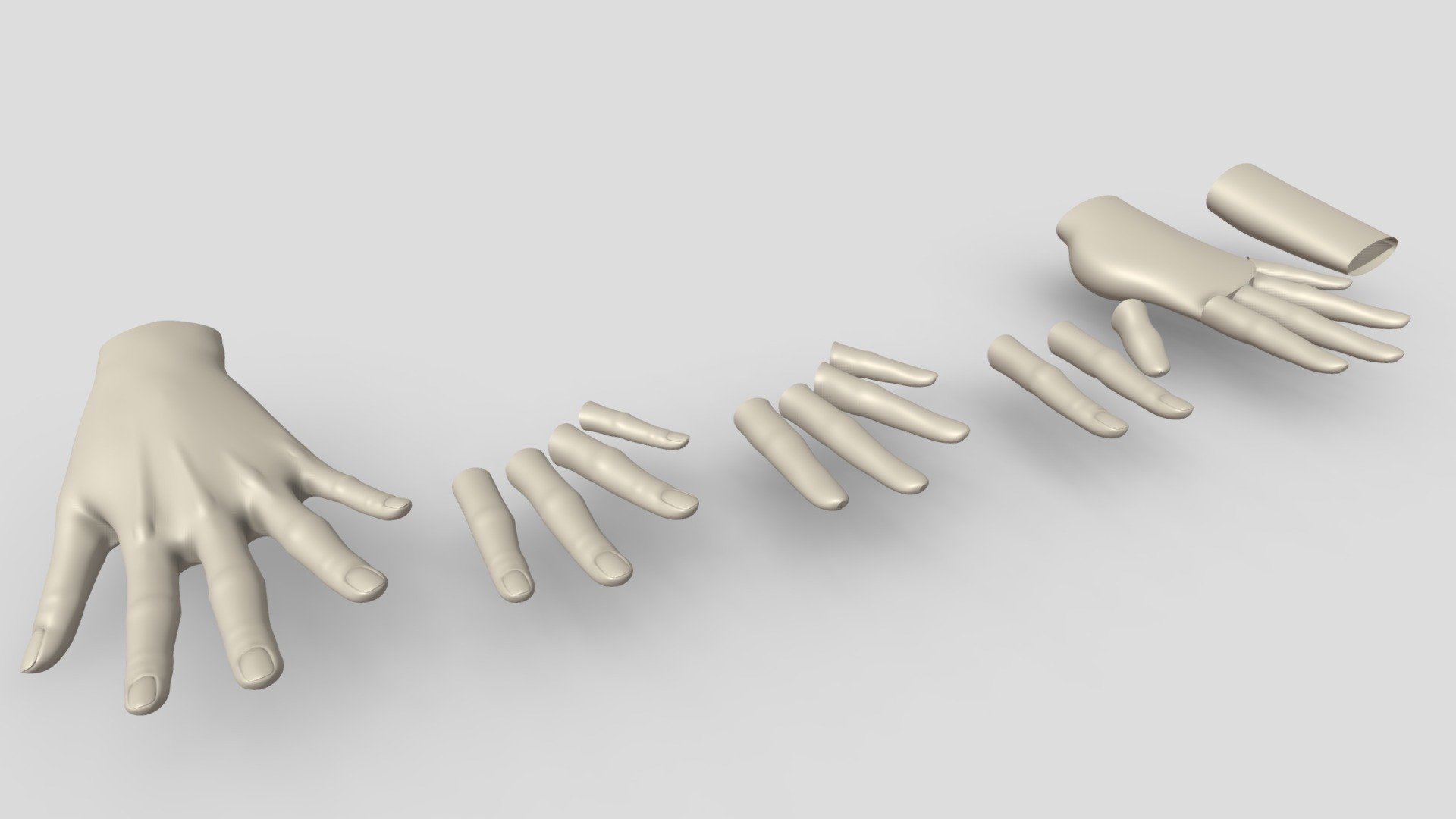 female Hand-basemesh - 3D model by 1225659838@qq.com (@Novaky) [c5d5f7f ...