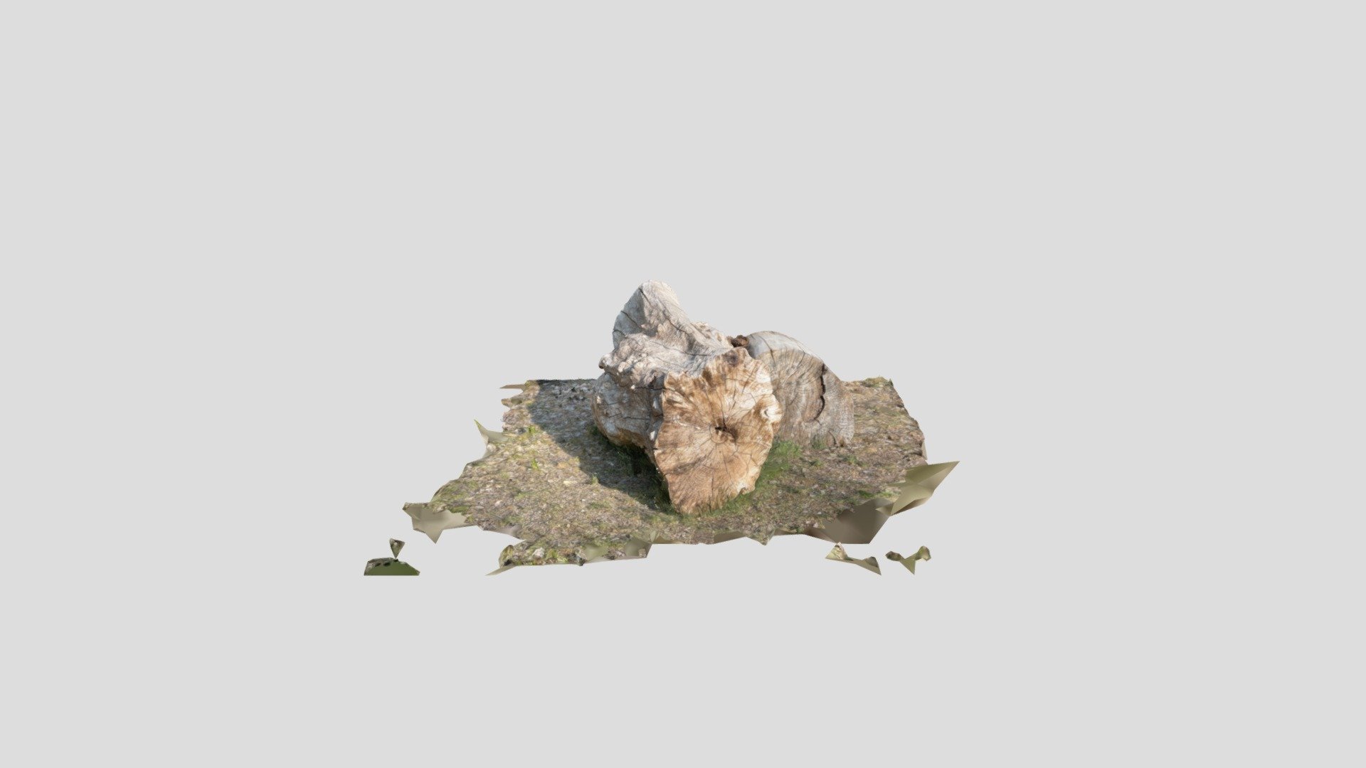 Log - Download Free 3D model by TyrusWashburn [c5d6547] - Sketchfab