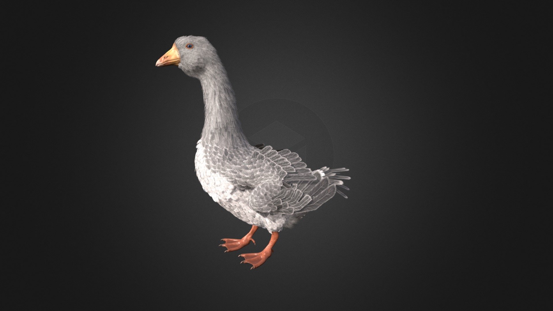 Feathered goose - Buy Royalty Free 3D model by Rifat3D [c5e0c86 ...