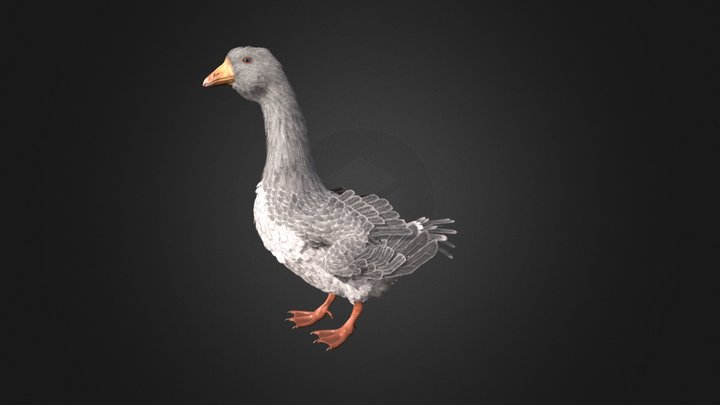 Goose 3D models - Sketchfab