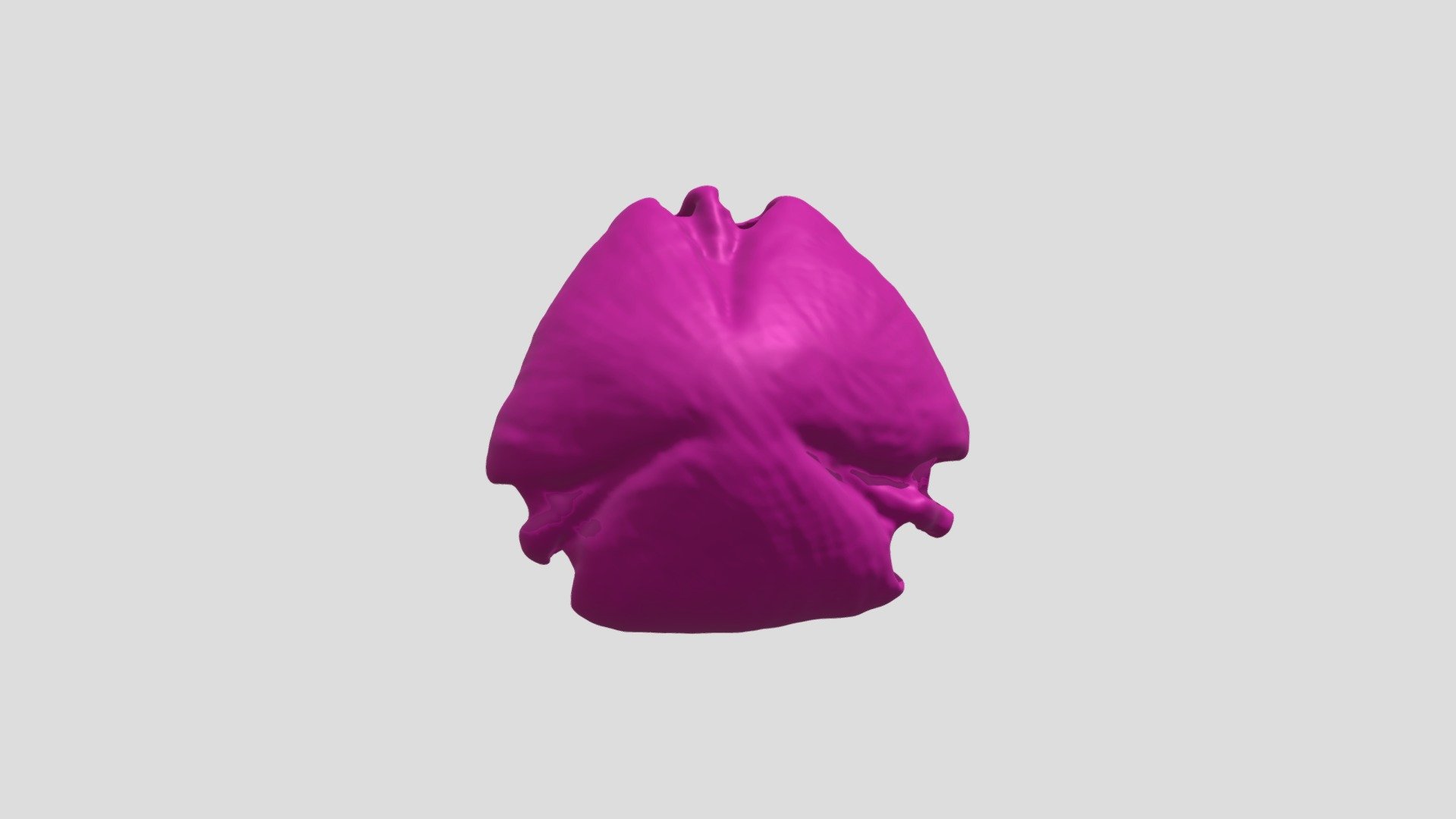Creeping cinquefoil (Potentilla reptans) pollen - 3D model by Cardiff ...