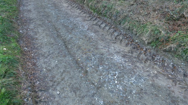 Pathway 3D models - Sketchfab