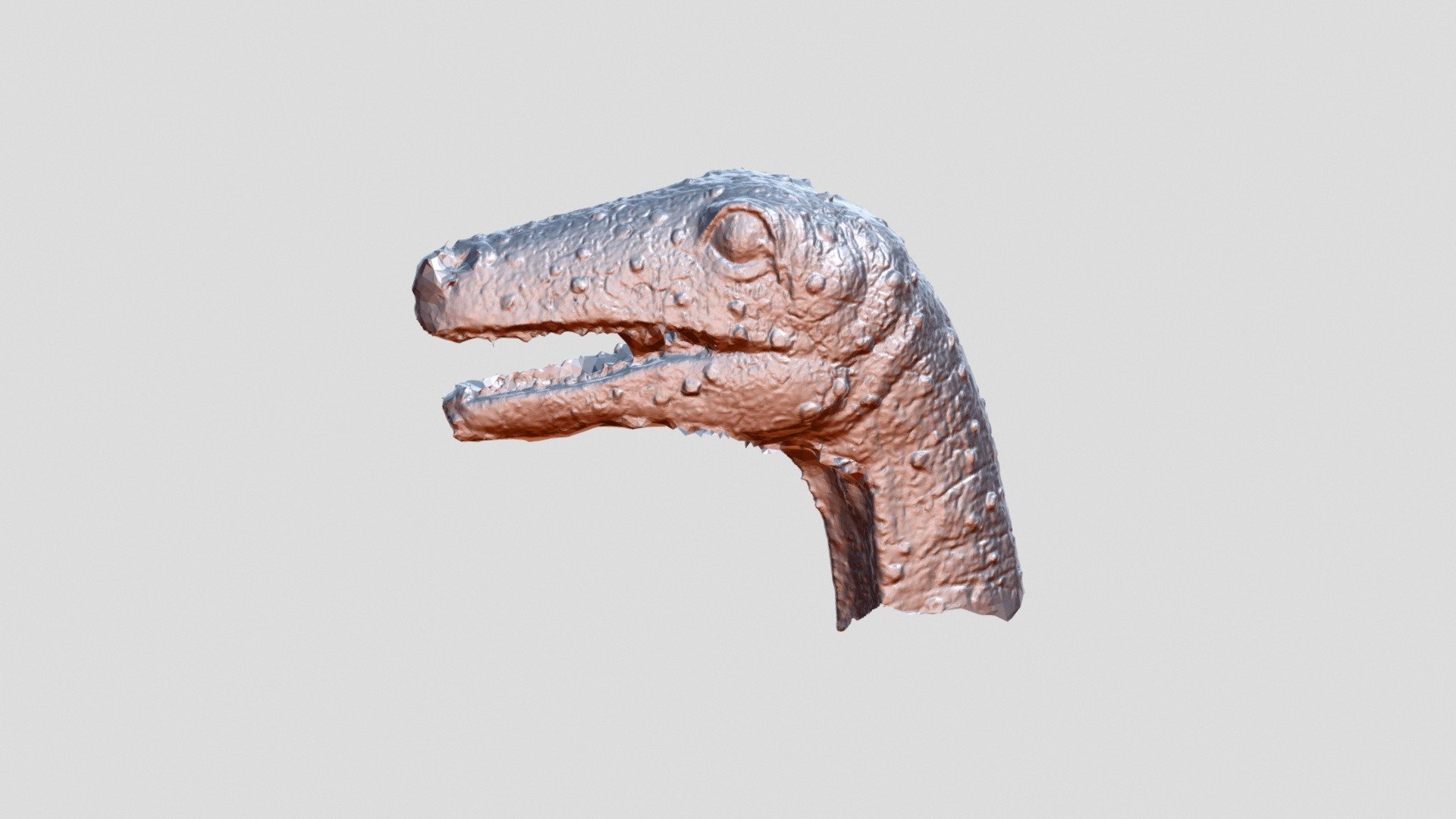 rapter2 - 3D model by Tagle.Torisuki [c5fa305] - Sketchfab