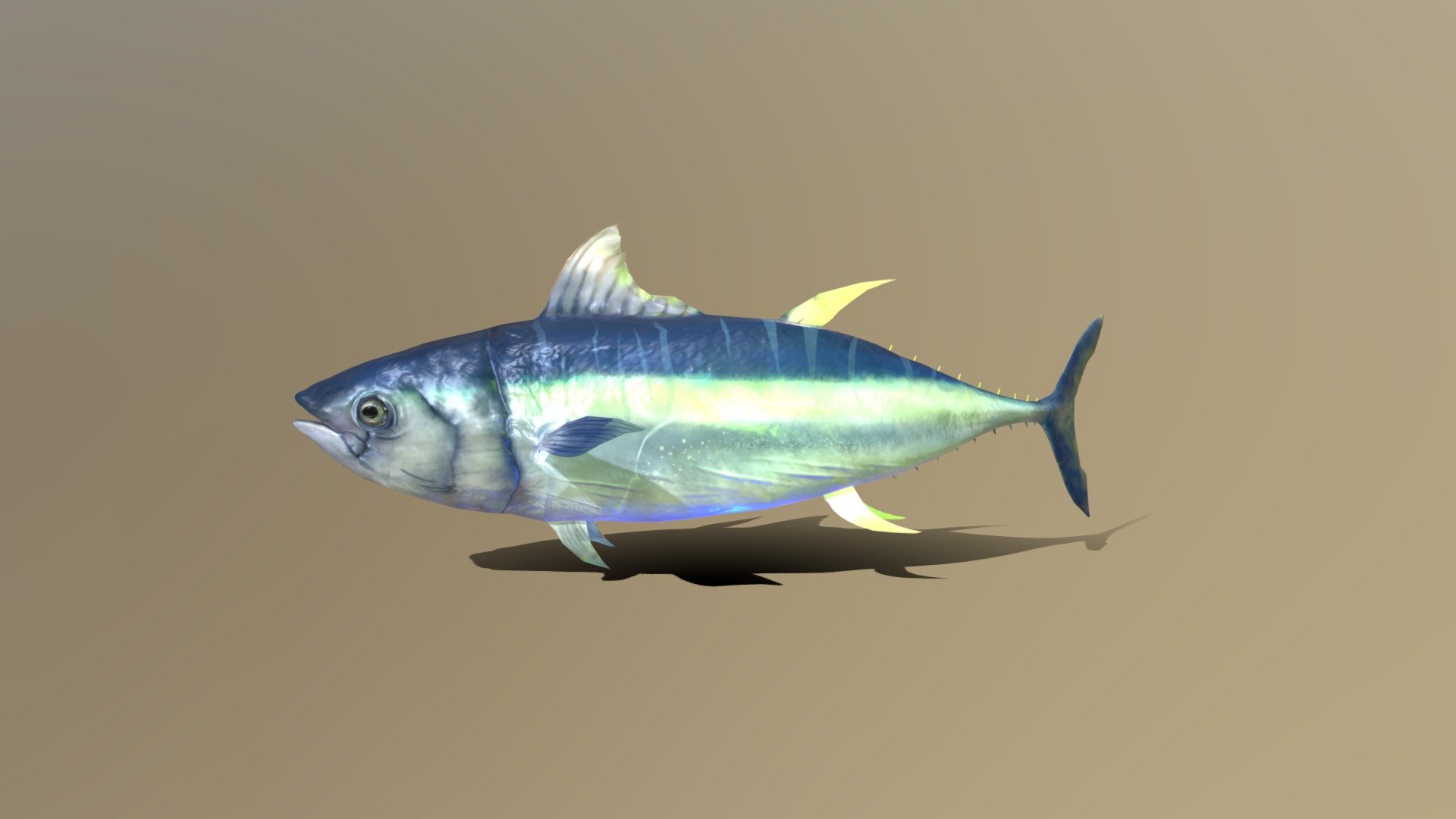 Tuna Fish - Download Free 3D model by GoldenZtuff (@dhjwdwd) [c5fad94 ...