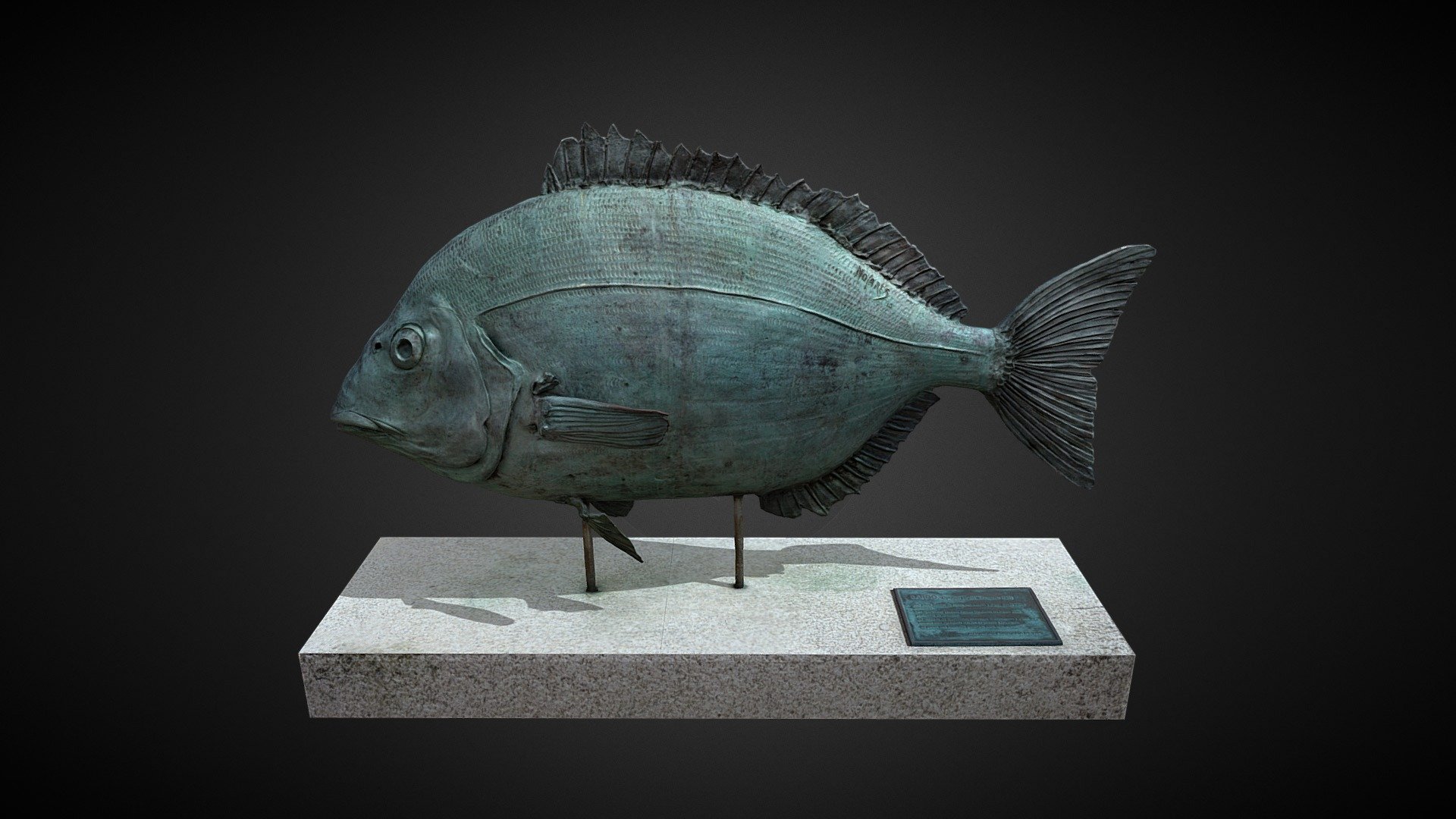 Sargo - 3D model by García Ávila, M. (@garcia.avila) [c5fd010] - Sketchfab