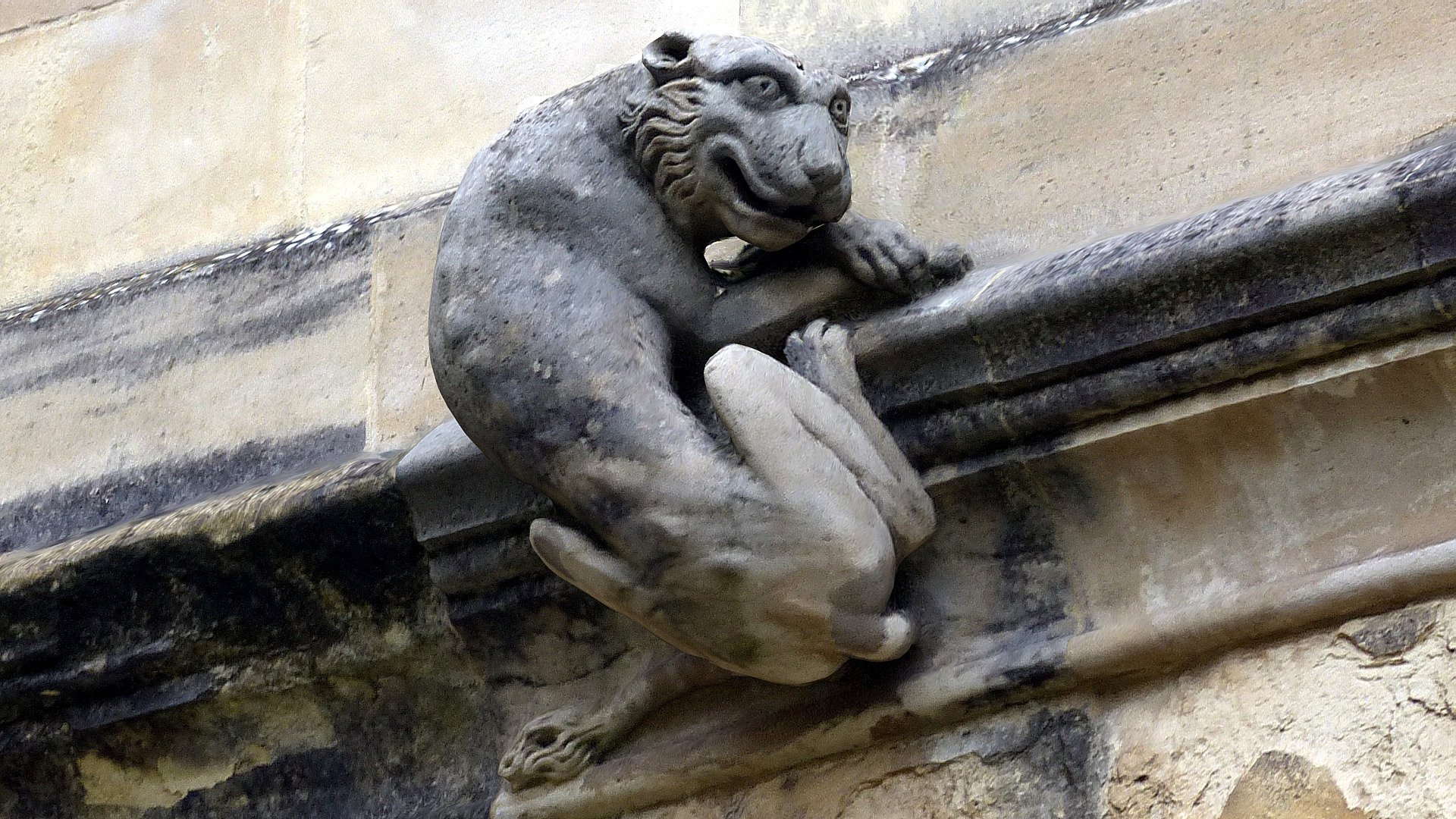 Lion Grotesque, Winchester Cathedral - 3D model by squeakingcat ...