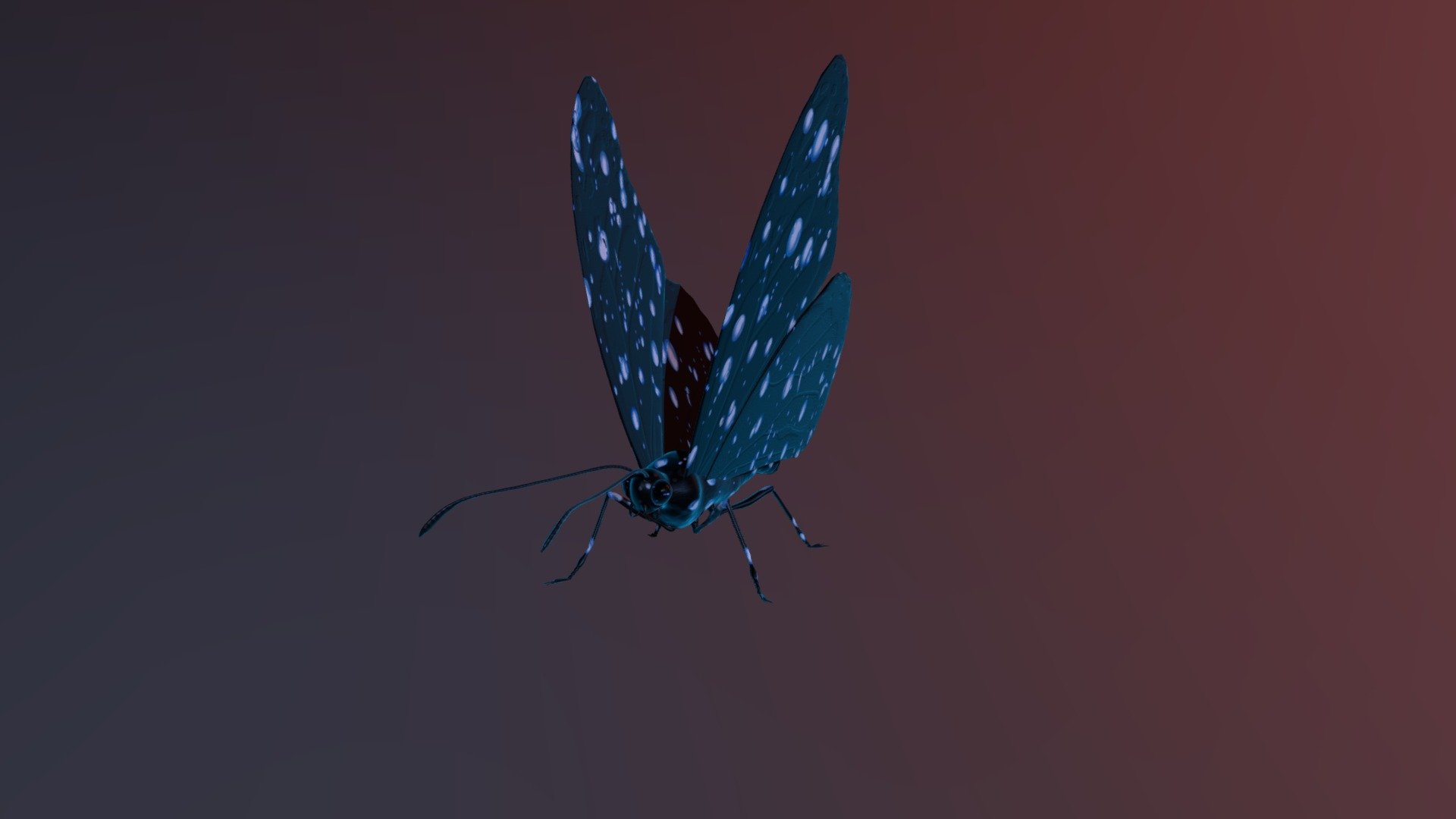 Butterfly's wings are wet - 3D model by butterflybliss (@ZorDob ...