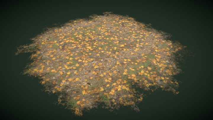 Vignette 3D models - Sketchfab