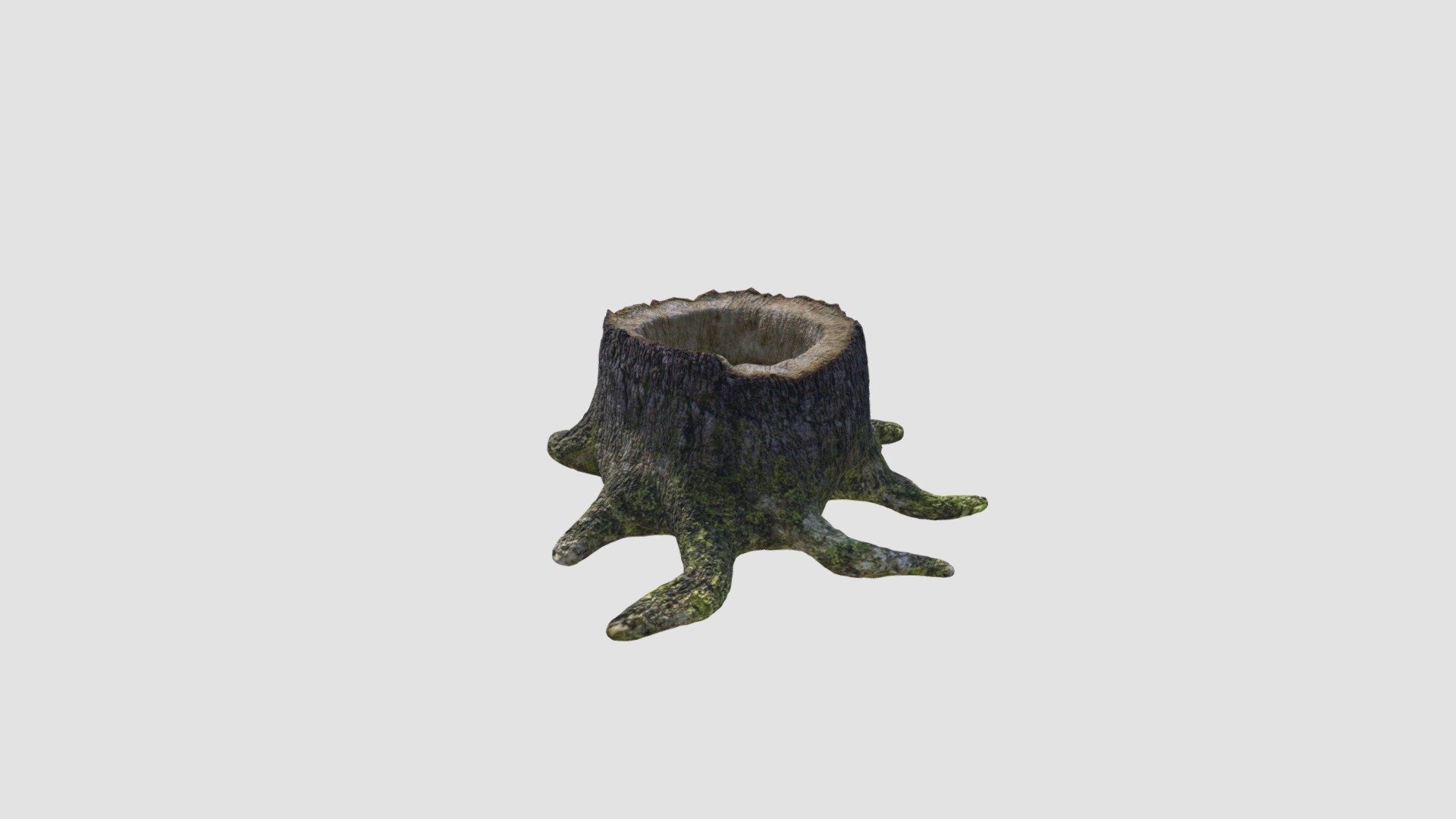 stump - Buy Royalty Free 3D model by Evermotion [c60b3bc] - Sketchfab Store