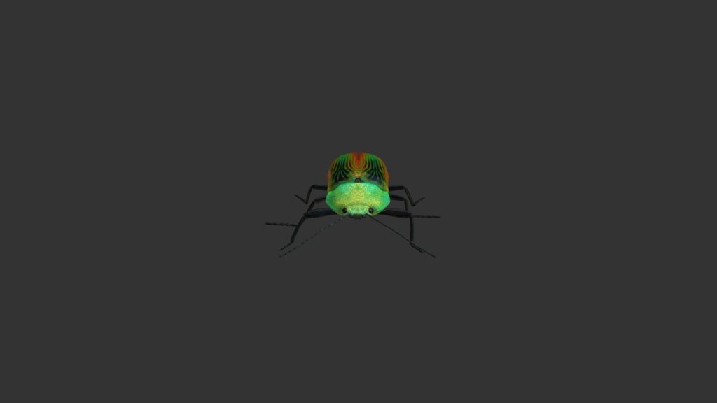 Buprestidae - 3D model by kwhsu [c60b7ed] - Sketchfab