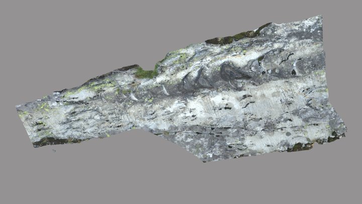 Half-moon 3D models - Sketchfab