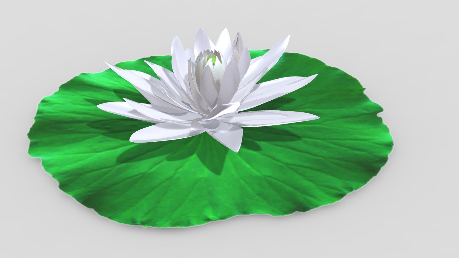 Lotus 3d model free download - Download Free 3D model by Naveen Manja ...