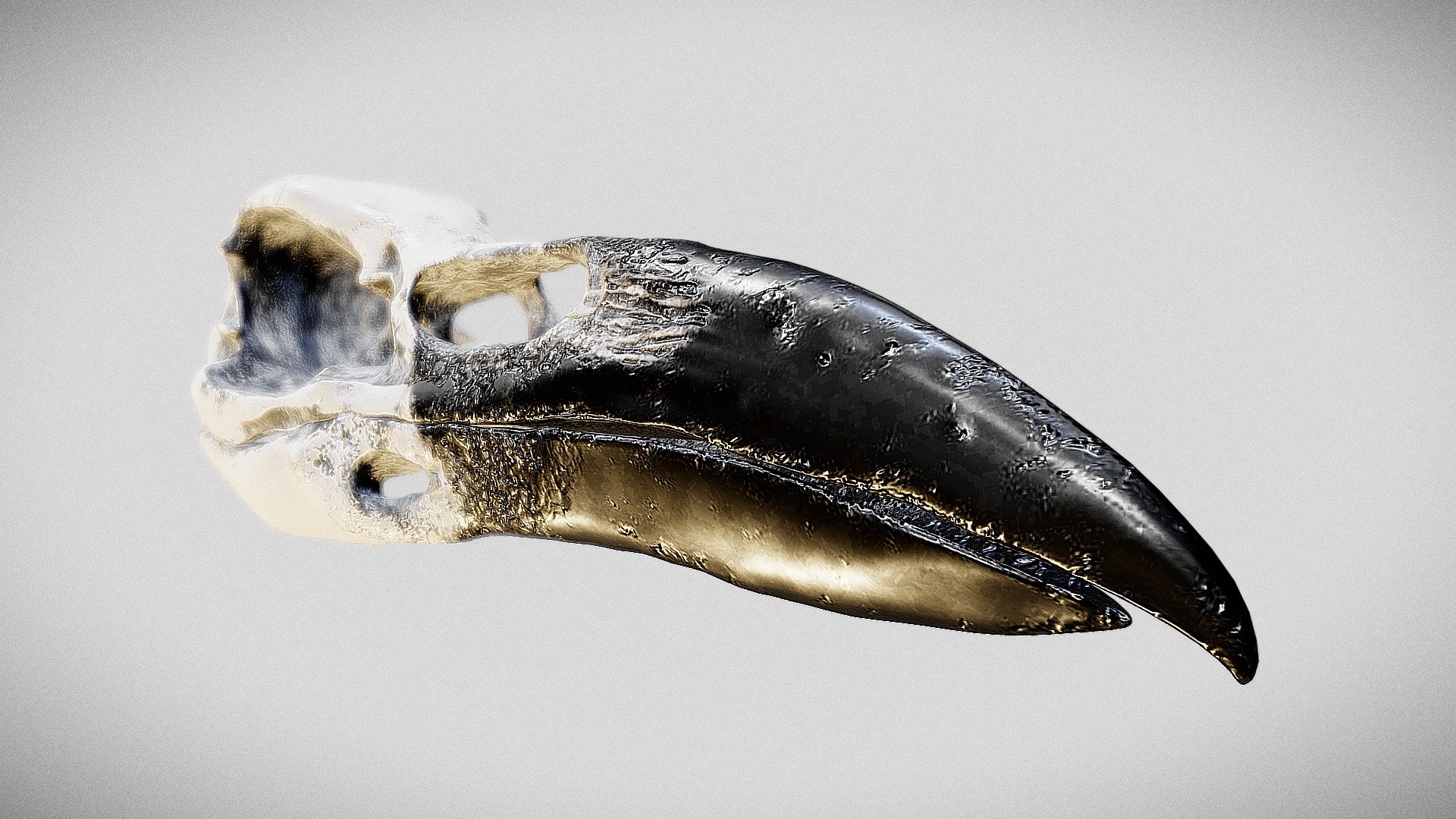 Raven Skull - 3D model by cemozcan [c619845] - Sketchfab
