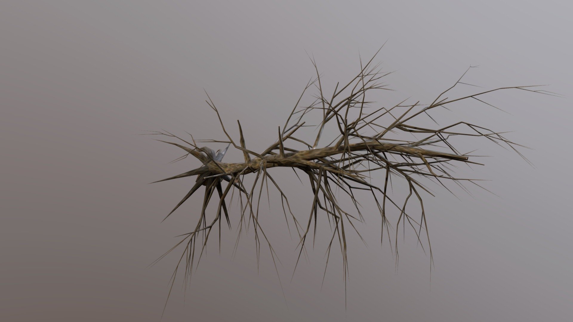 Fallen_tree - 3D model by beebopjan [c61a9d0] - Sketchfab