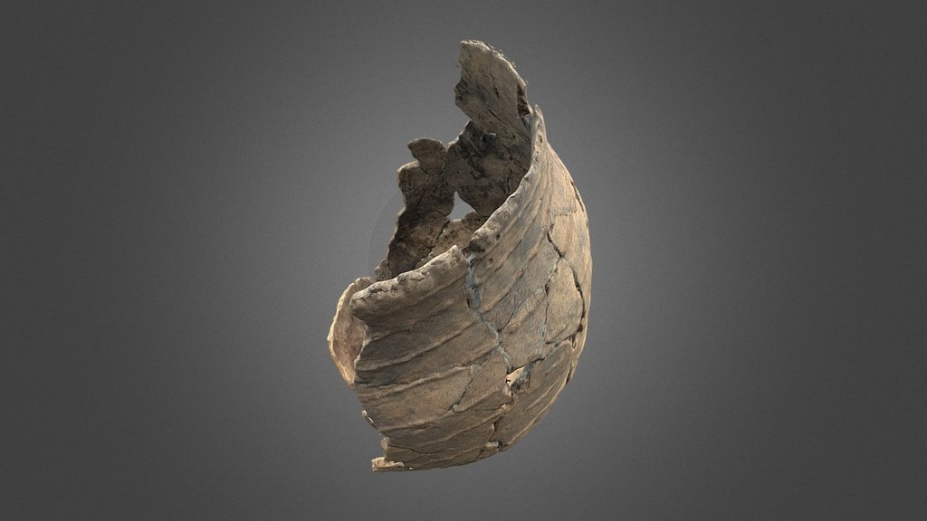 Gorshok 2 - 3D model by Alexander Cherkashin (@mr-alex-6) [c61b998 ...