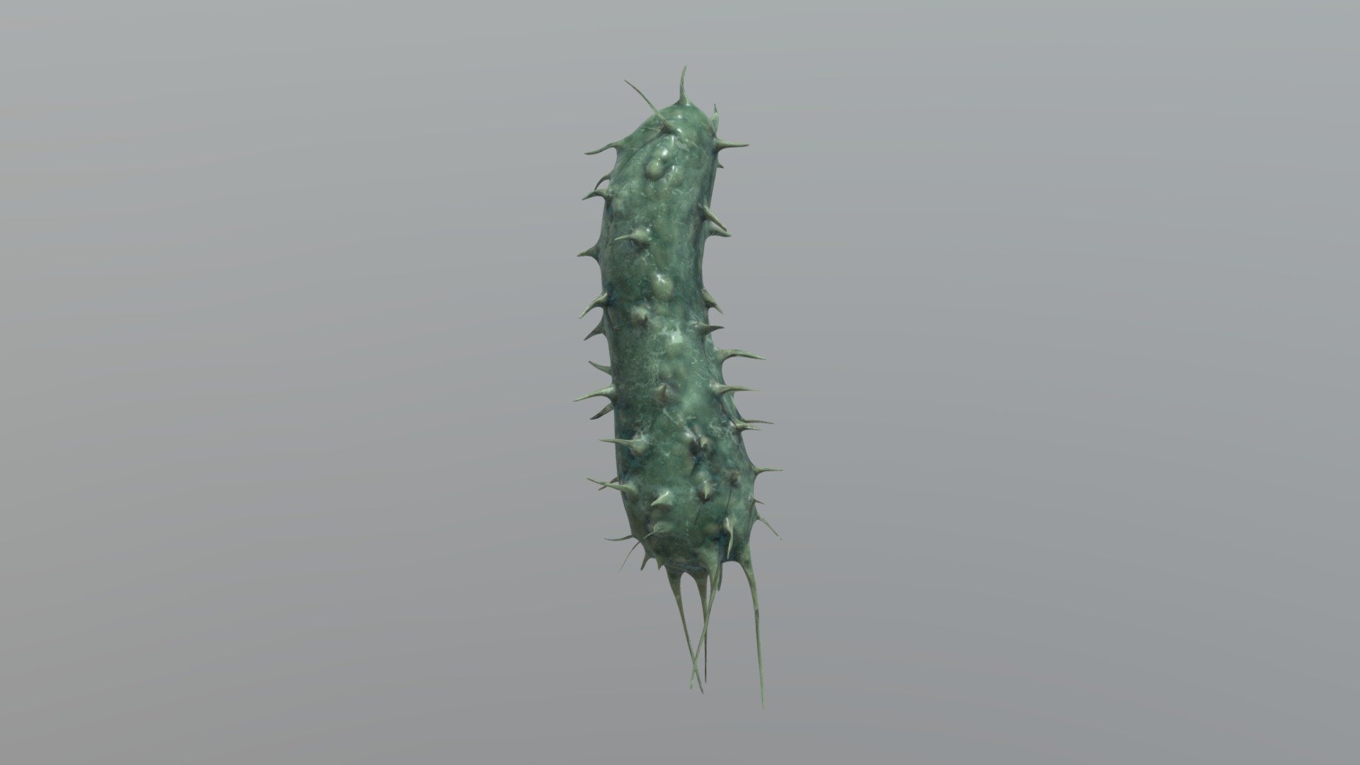 Bacteria - 3D model by yukee1102 [c62024a] - Sketchfab