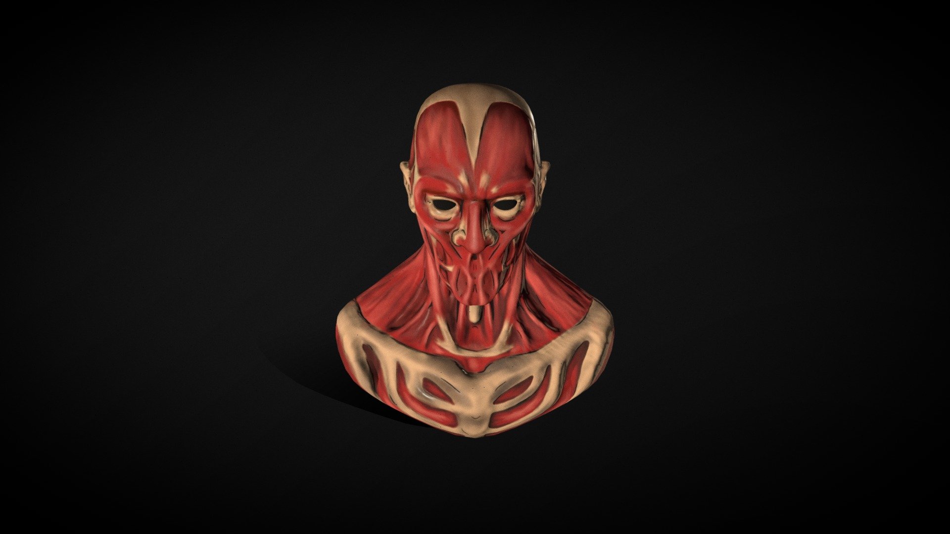 Ecorcher - 3D model by Delruto [c62dbfe] - Sketchfab