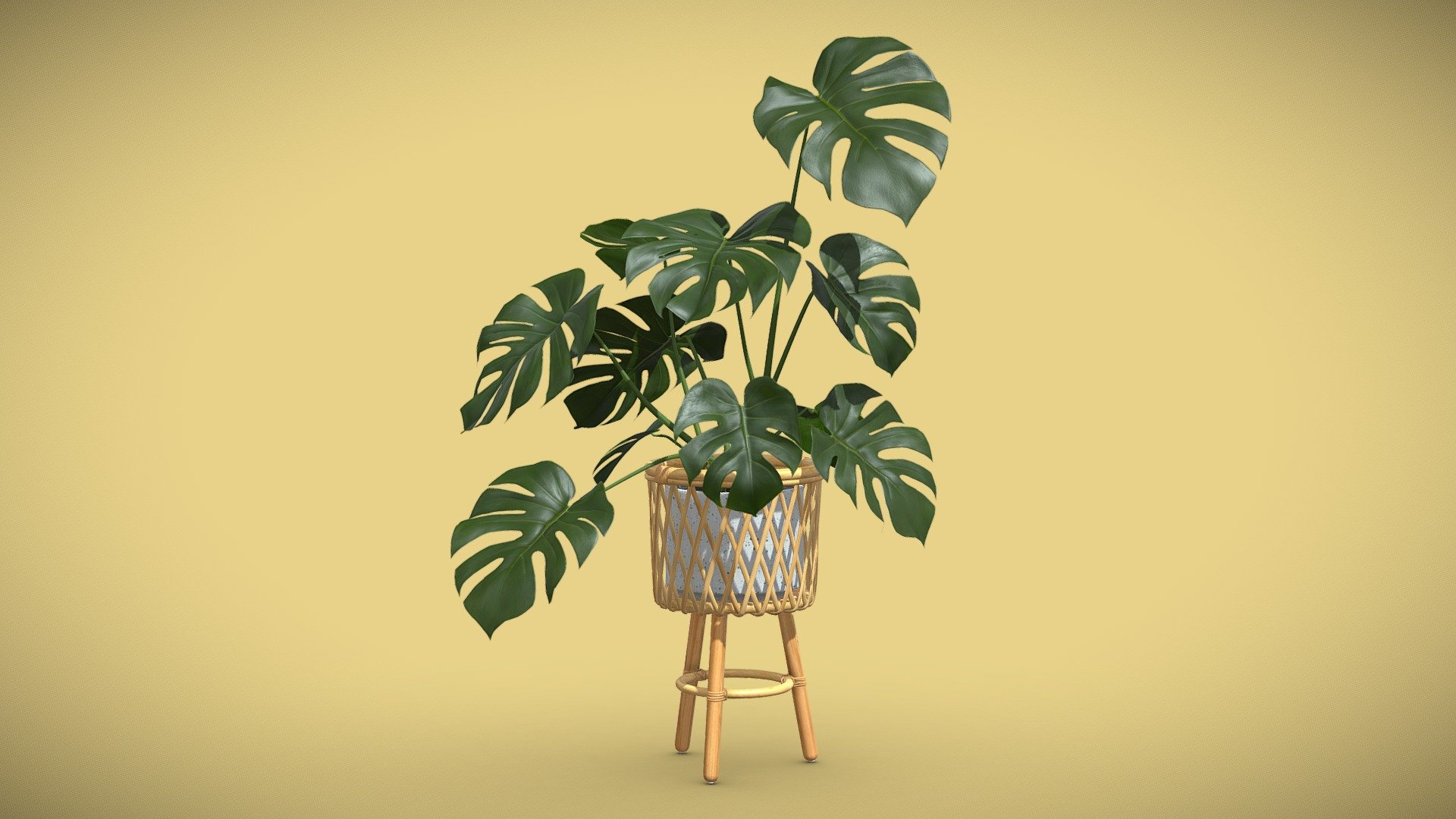 Bamboo Stand Plant Monstera Deliciosa - Buy Royalty Free 3D model by ...