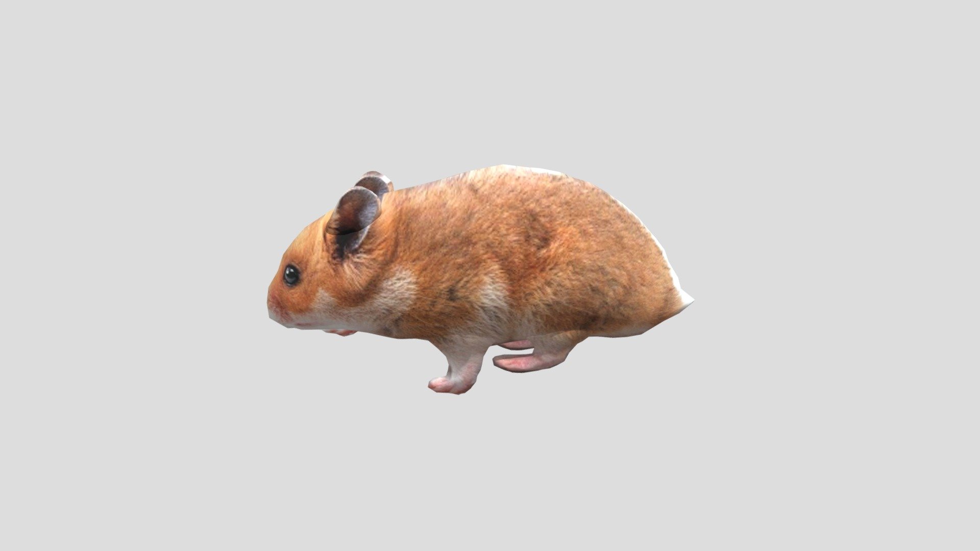 Mouse - Download Free 3D model by a955090 [c635ad4] - Sketchfab